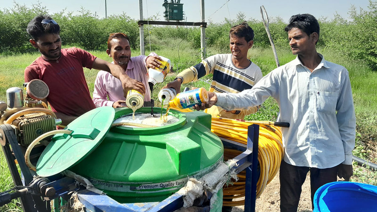 Baag Bundi Farms - ZETTA FARM