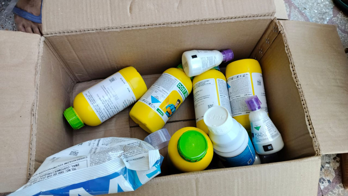 Jaipur Gallery - ZETTA FARM