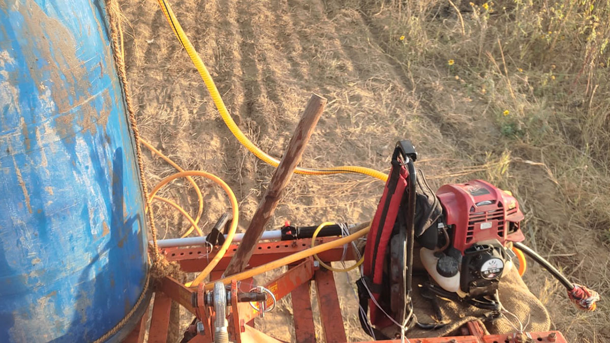 Jaipur Gallery - ZETTA FARM