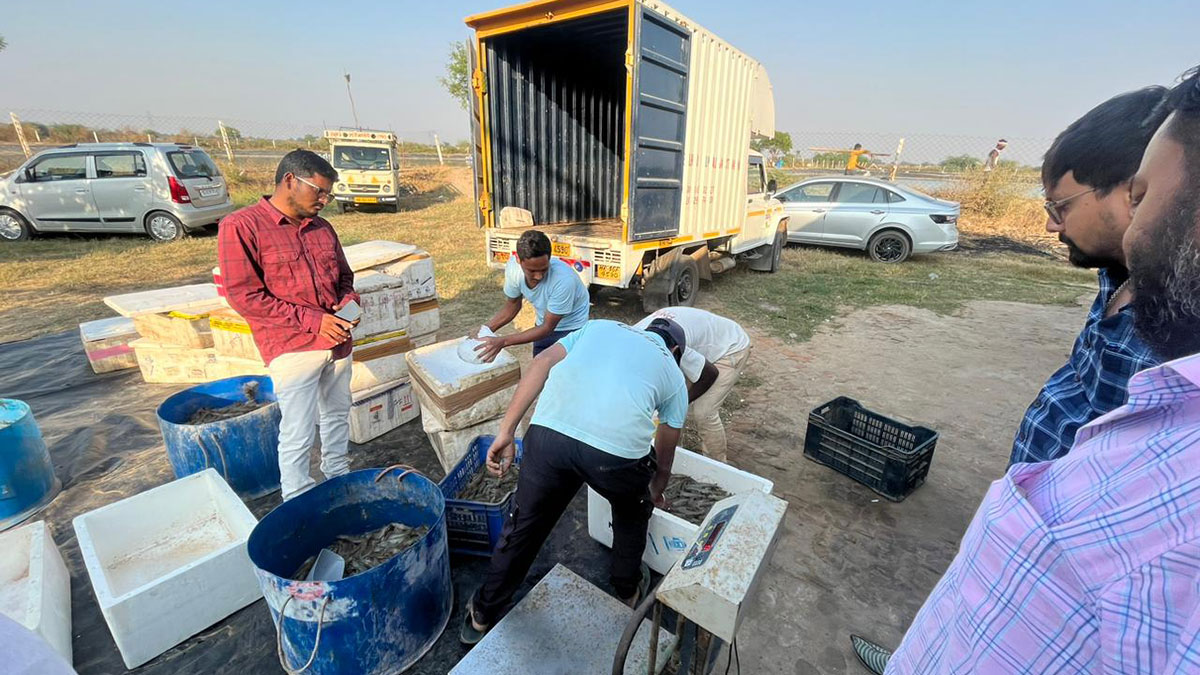 Jhajjar Shrimp Farm - ZETTA FARM